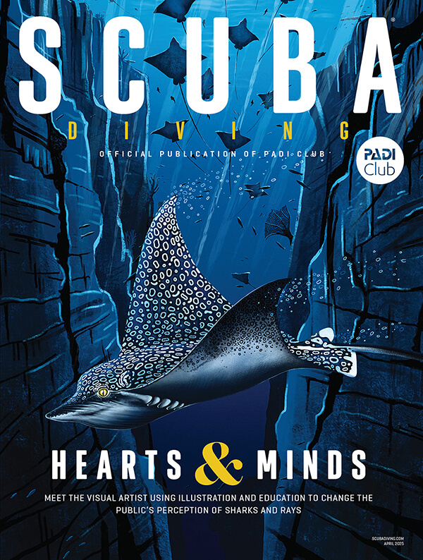 PADI Global